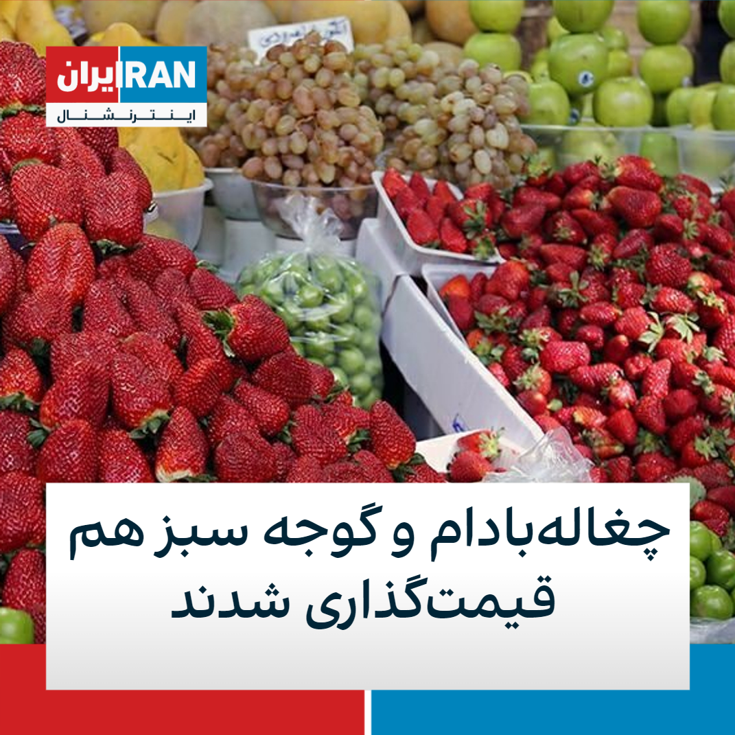 اتحادیه بارفروشان میدان مرکزی میوه و ترهبار از قیمتگذاری چغالهبادام و گوجه سبز خبر داد